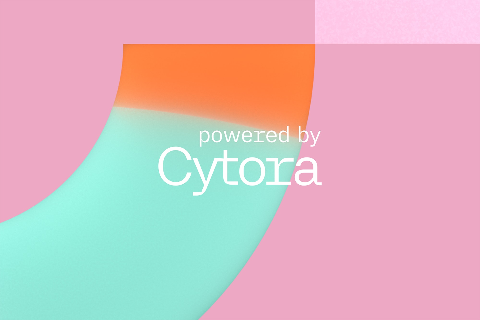 Design Matters – Diseño y Creación Multimedia